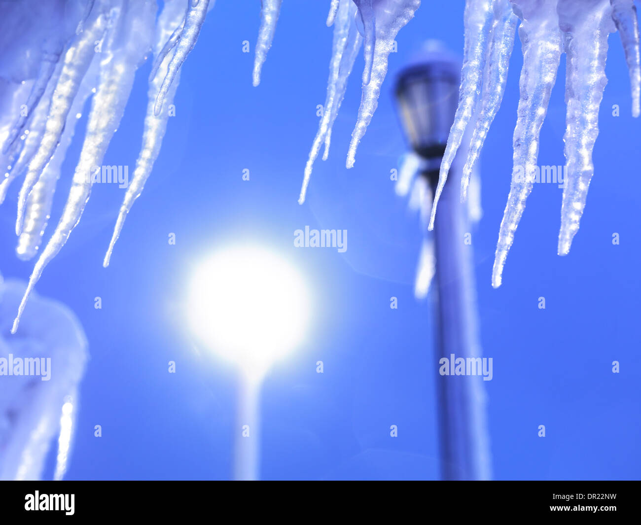 Icicles lit by a light of a street lamp against blue twilight sky ...