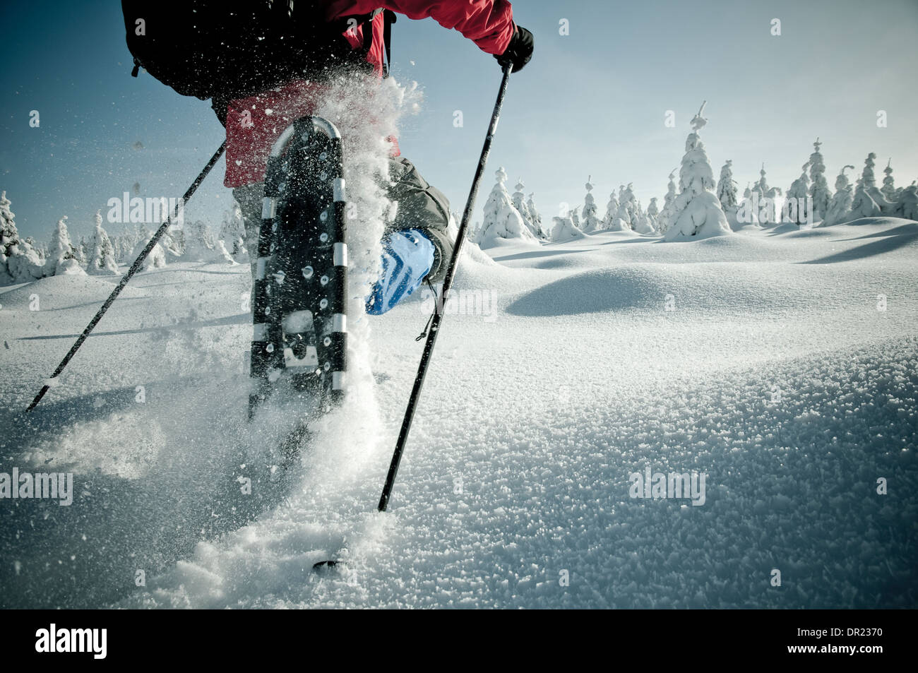 Man walking snowshoes hi-res stock photography and images - Alamy