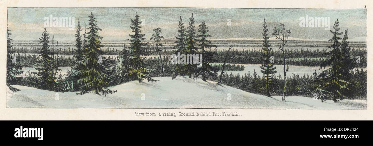 CANADA WOODS IN SNOW Stock Photo - Alamy