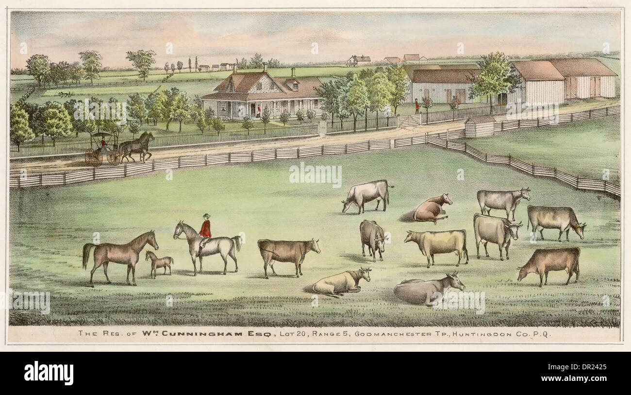 Made in 1850 hi-res stock photography and images - Alamy
