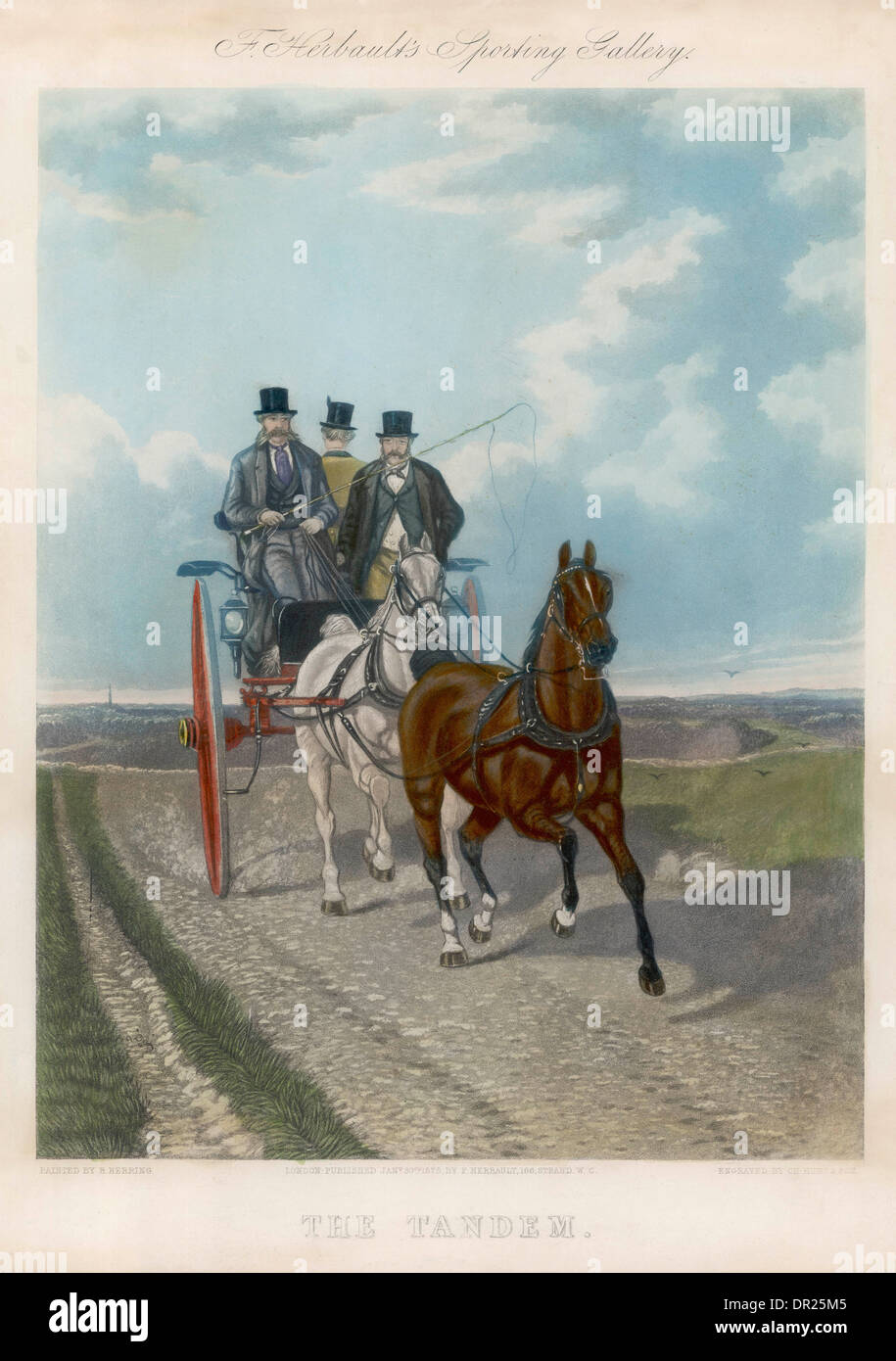 Carriage tack hi-res stock photography and images - Alamy