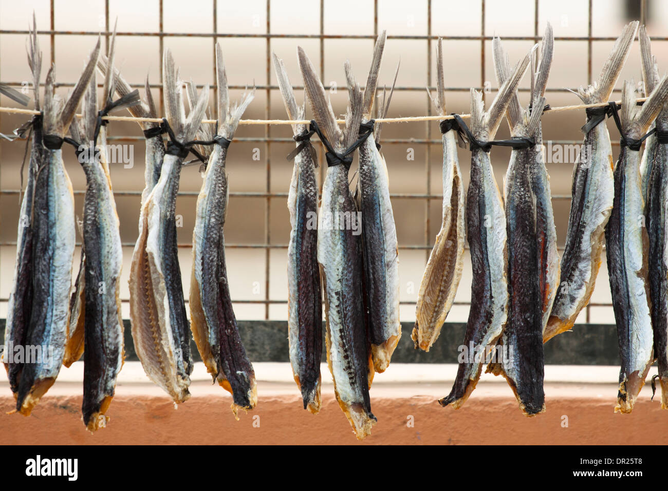 Dried fish hanged outdoors. La Linea, Cadiz, Andalusia, Spain Stock ...