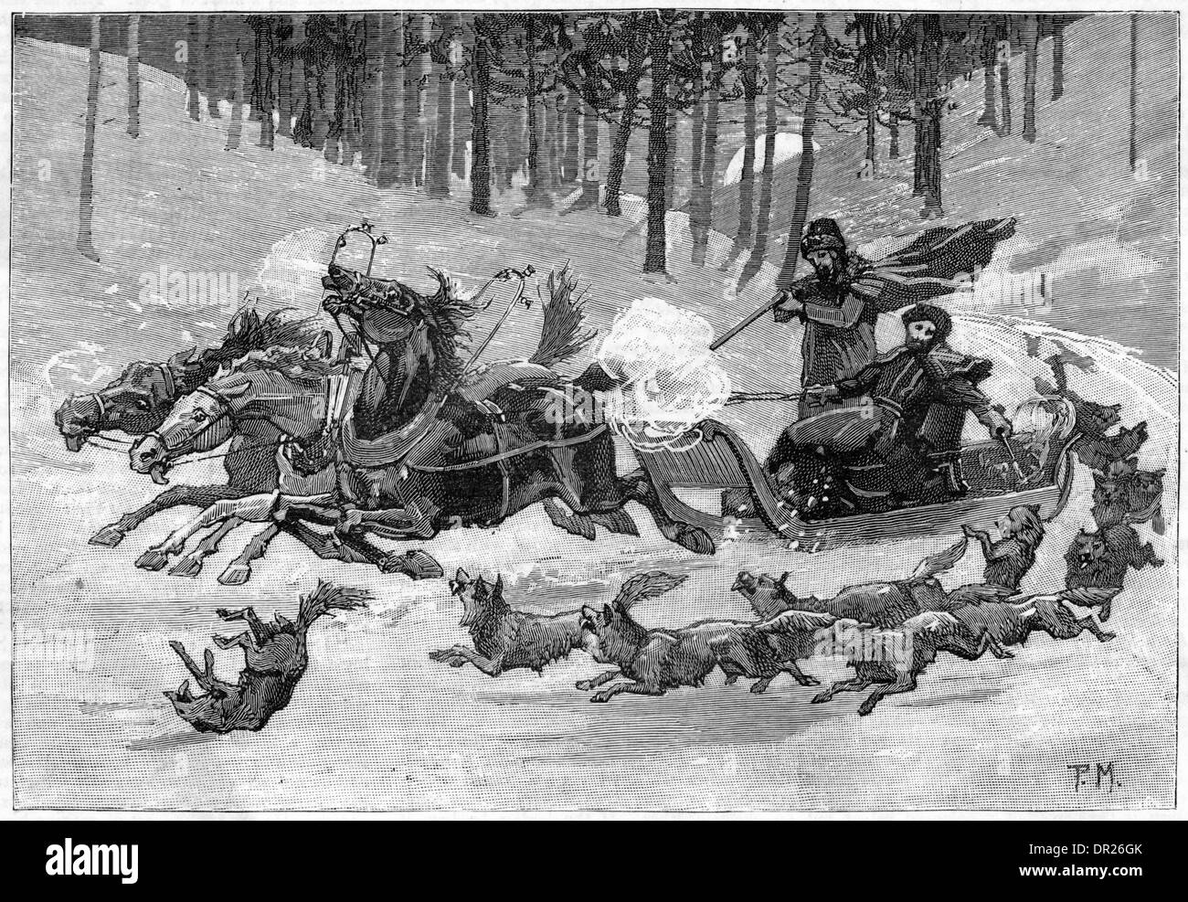 Pack of wolves Black and White Stock Photos & Images - Alamy