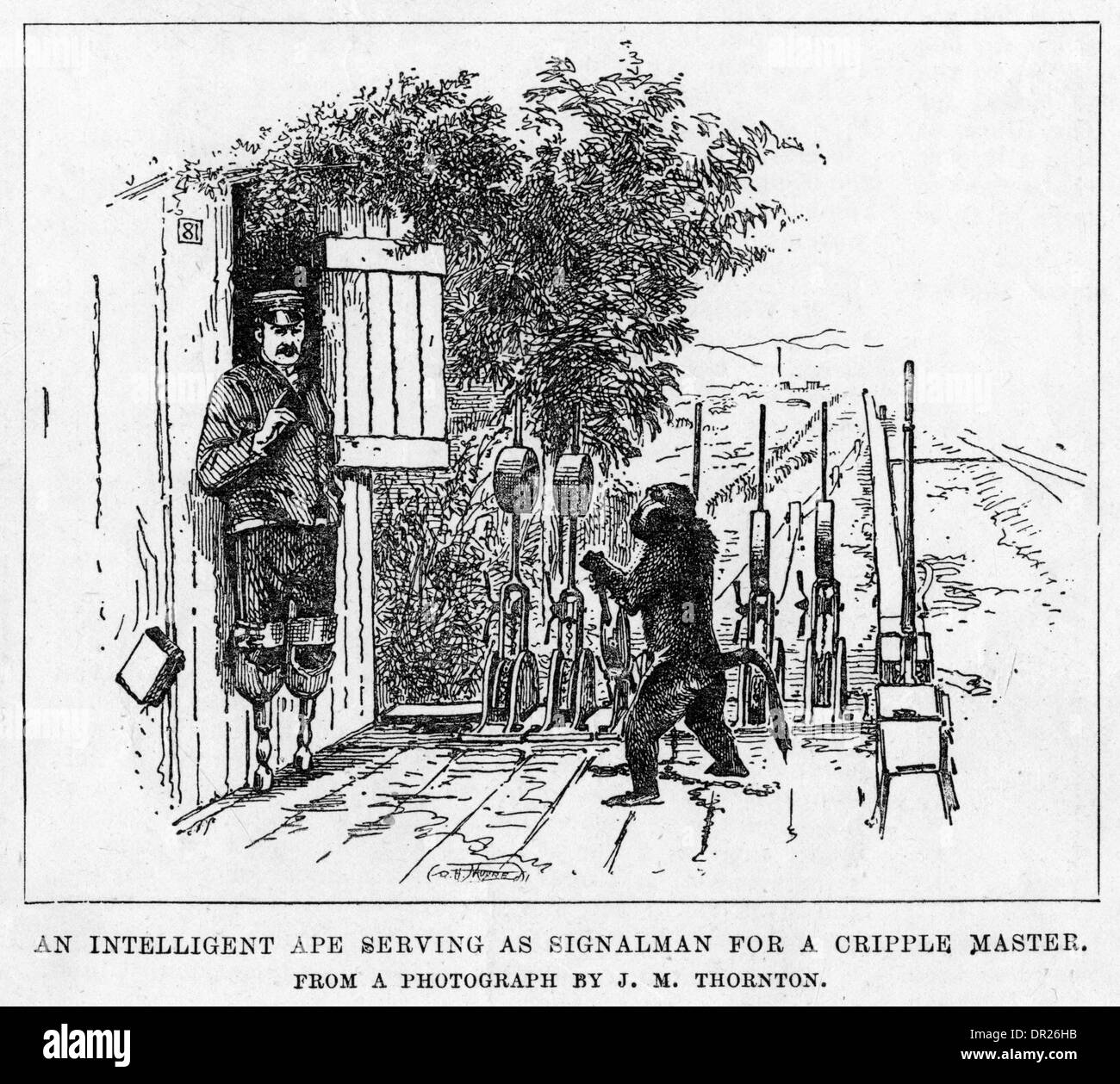 Signalman hi-res stock photography and images - Alamy