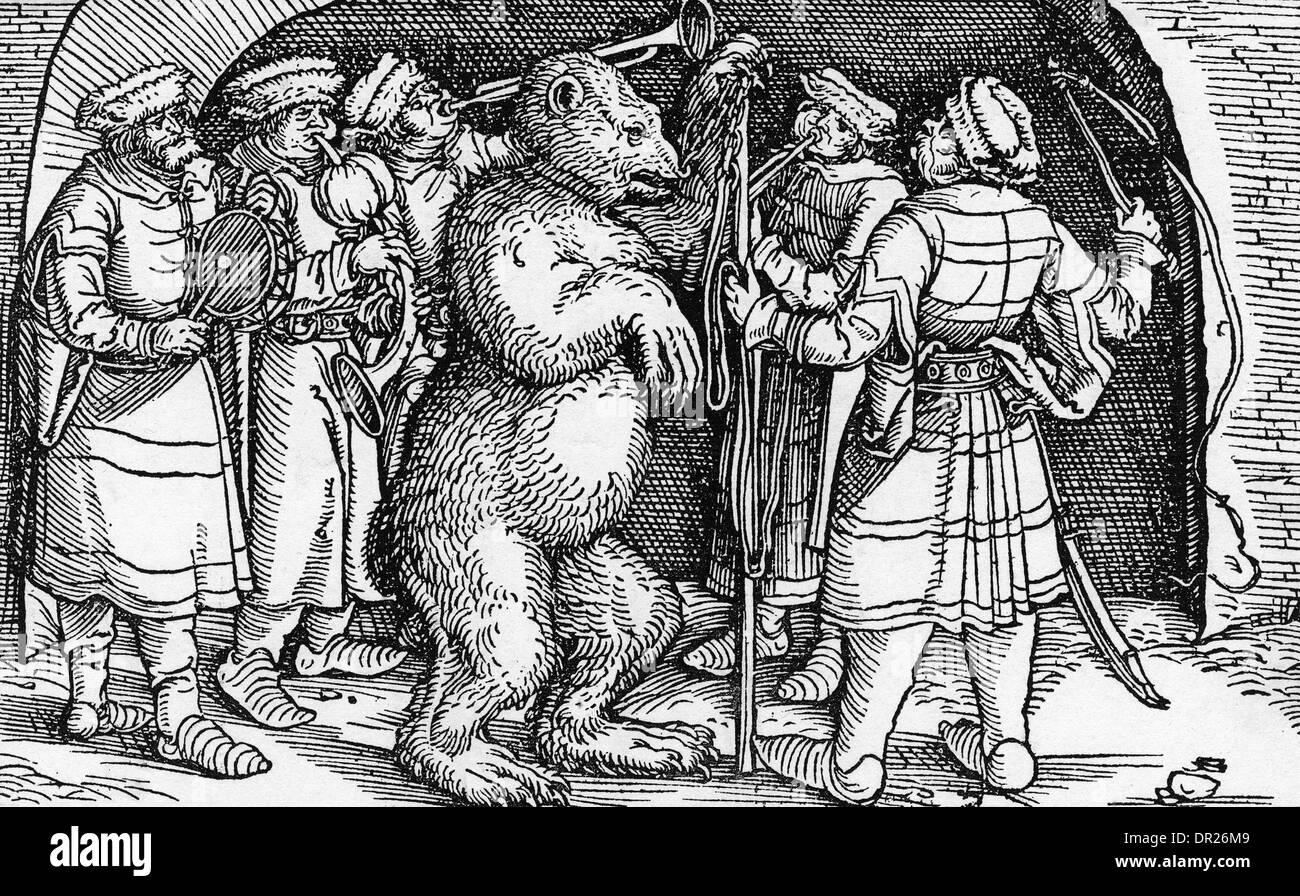 Bear history hi-res stock photography and images - Alamy