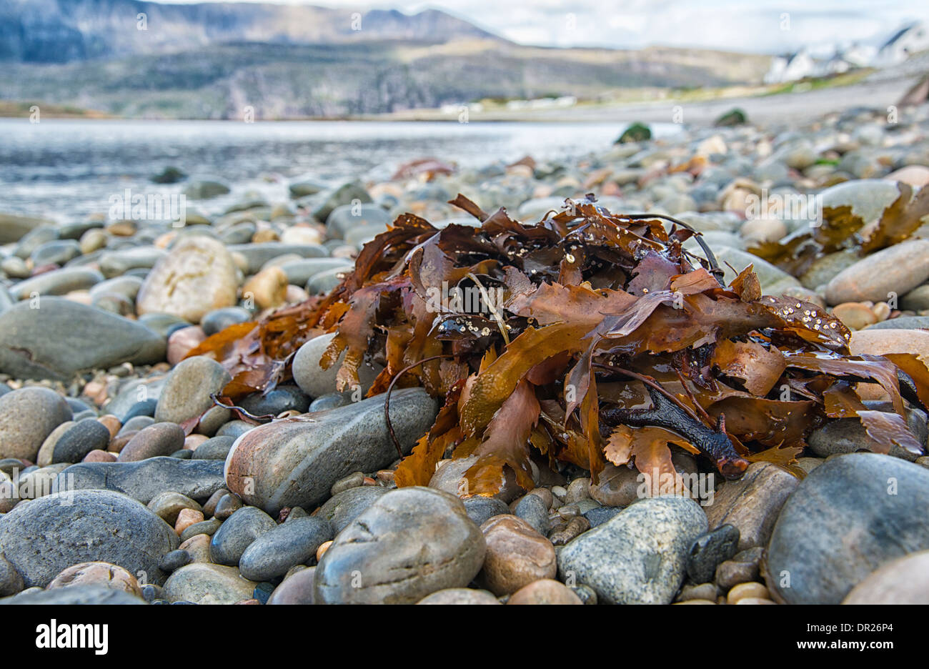 Tooth wrack hi-res stock photography and images - Alamy