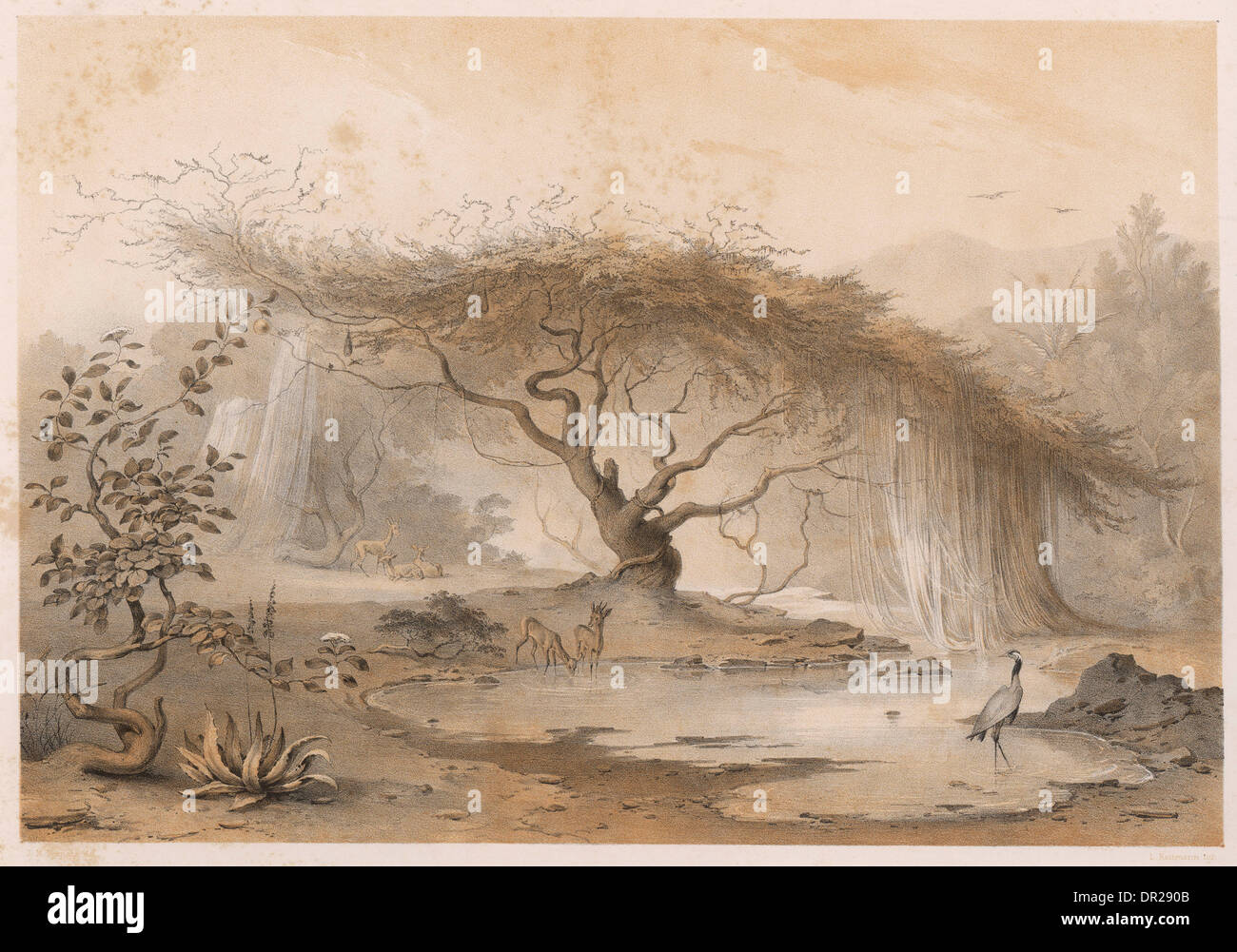 Tadjoura hi-res stock photography and images - Alamy