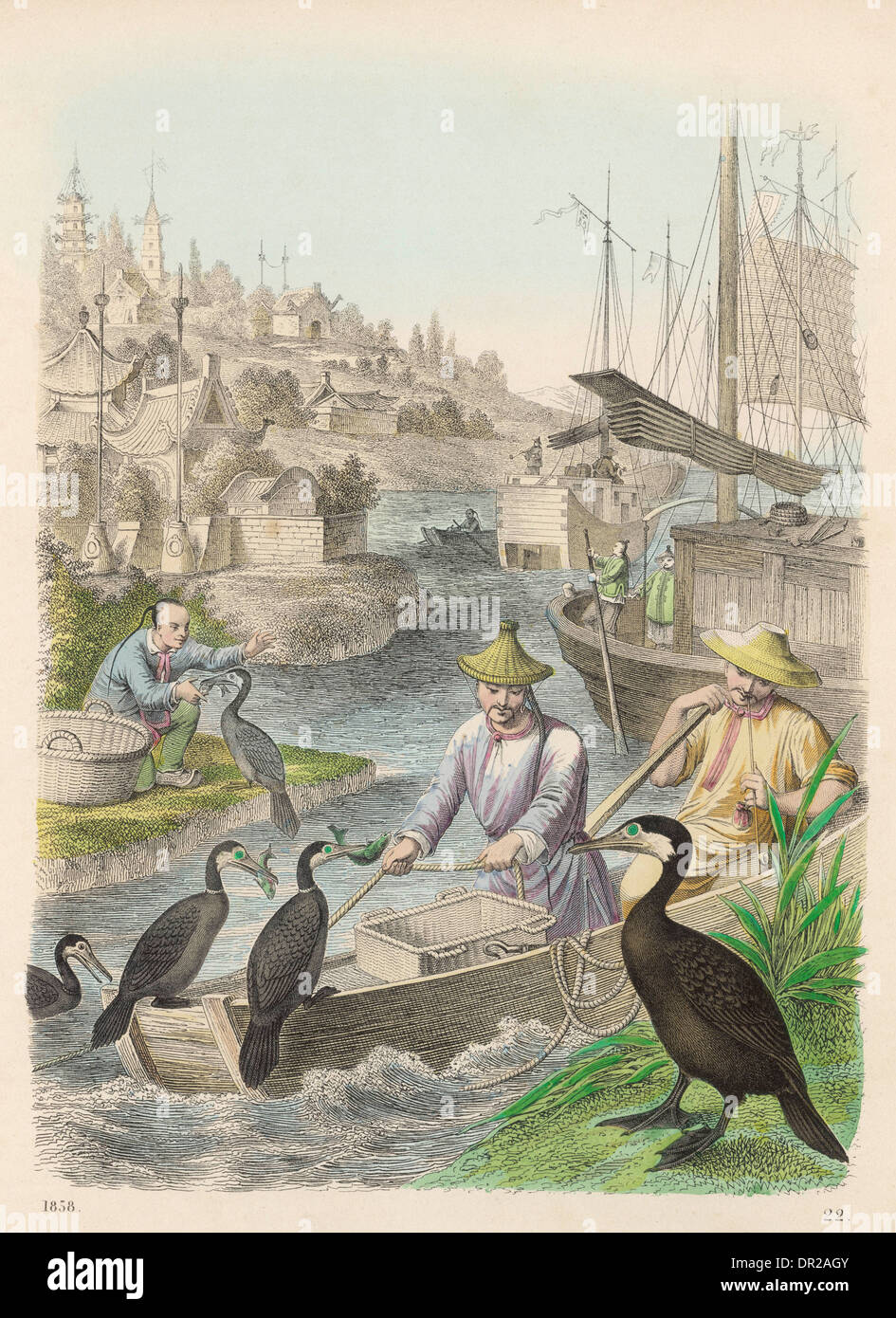 FISHING WITH CORMORANTS Stock Photo - Alamy