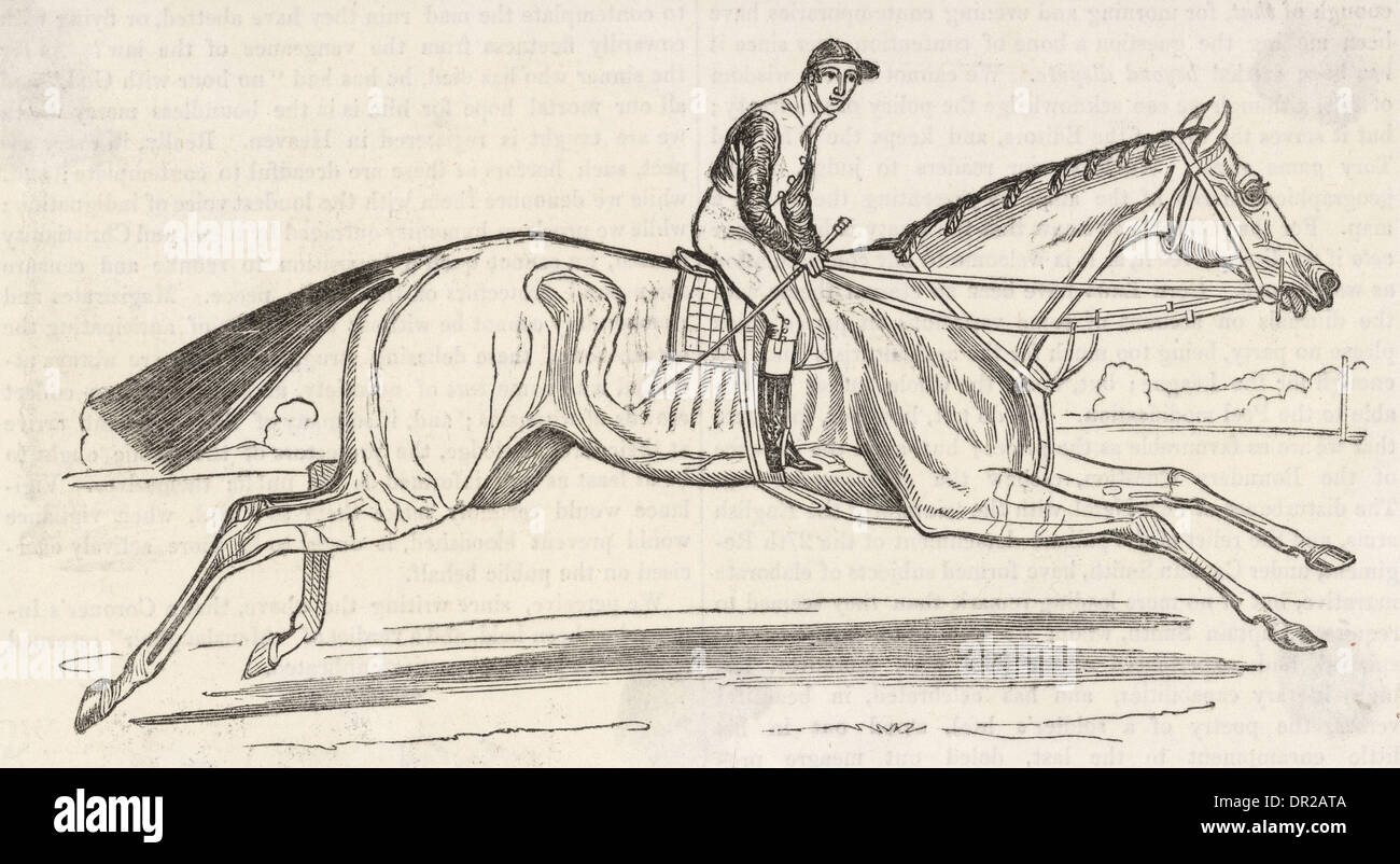 Beeswing hi-res stock photography and images - Alamy