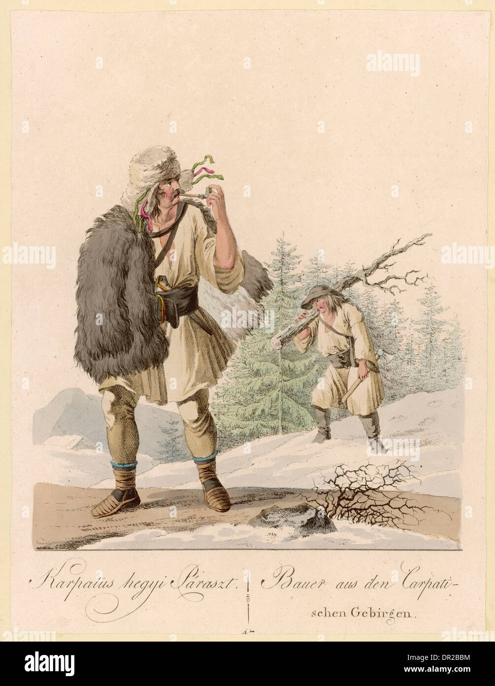 Collecting firewood hi-res stock photography and images - Alamy