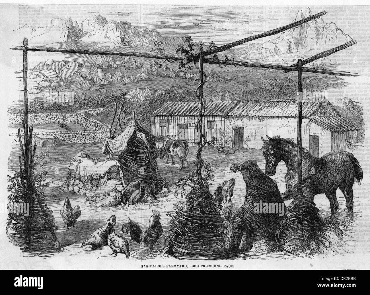 Caprera garibaldi hi-res stock photography and images - Alamy