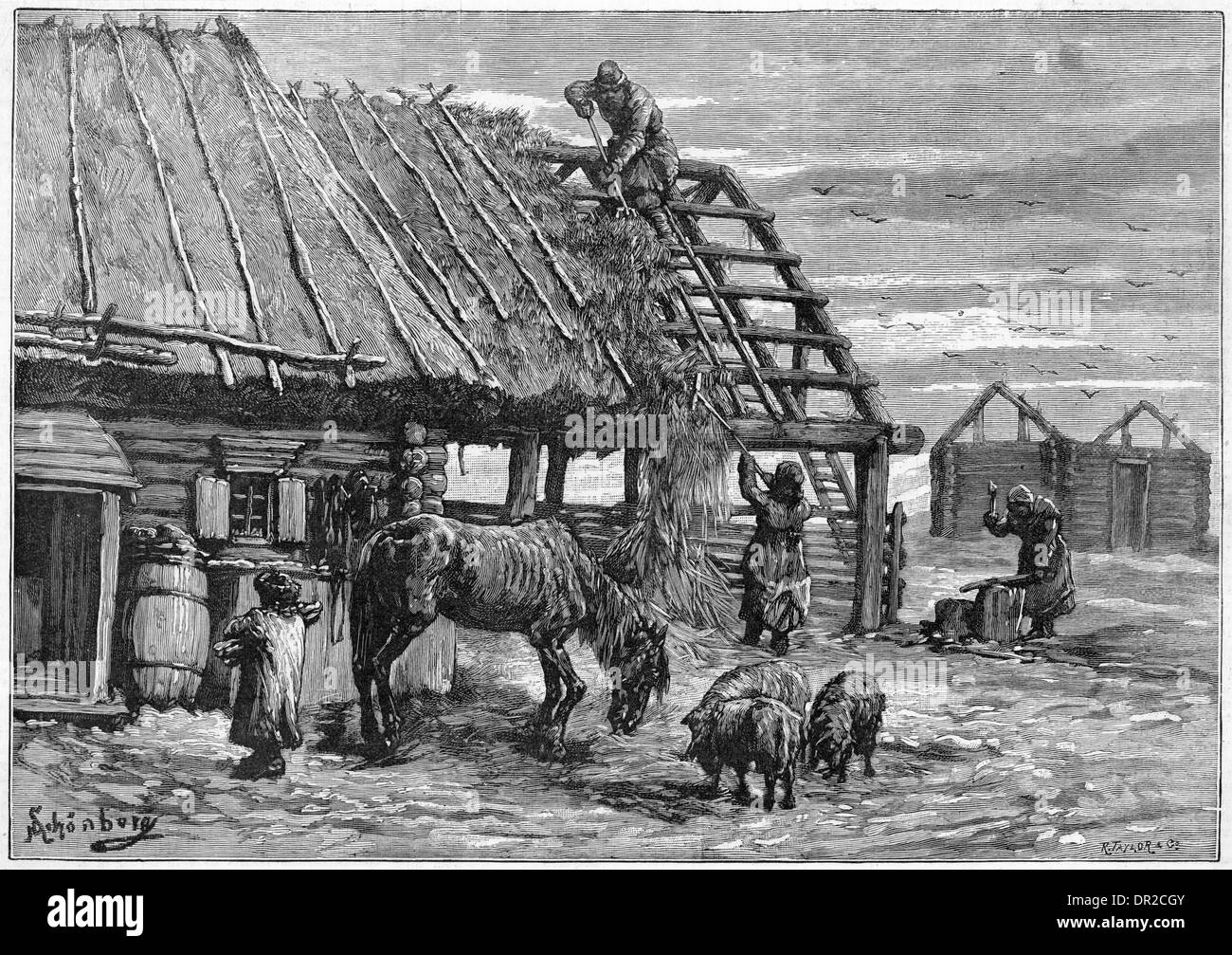 THATCH FOR ANIMALS Stock Photo - Alamy