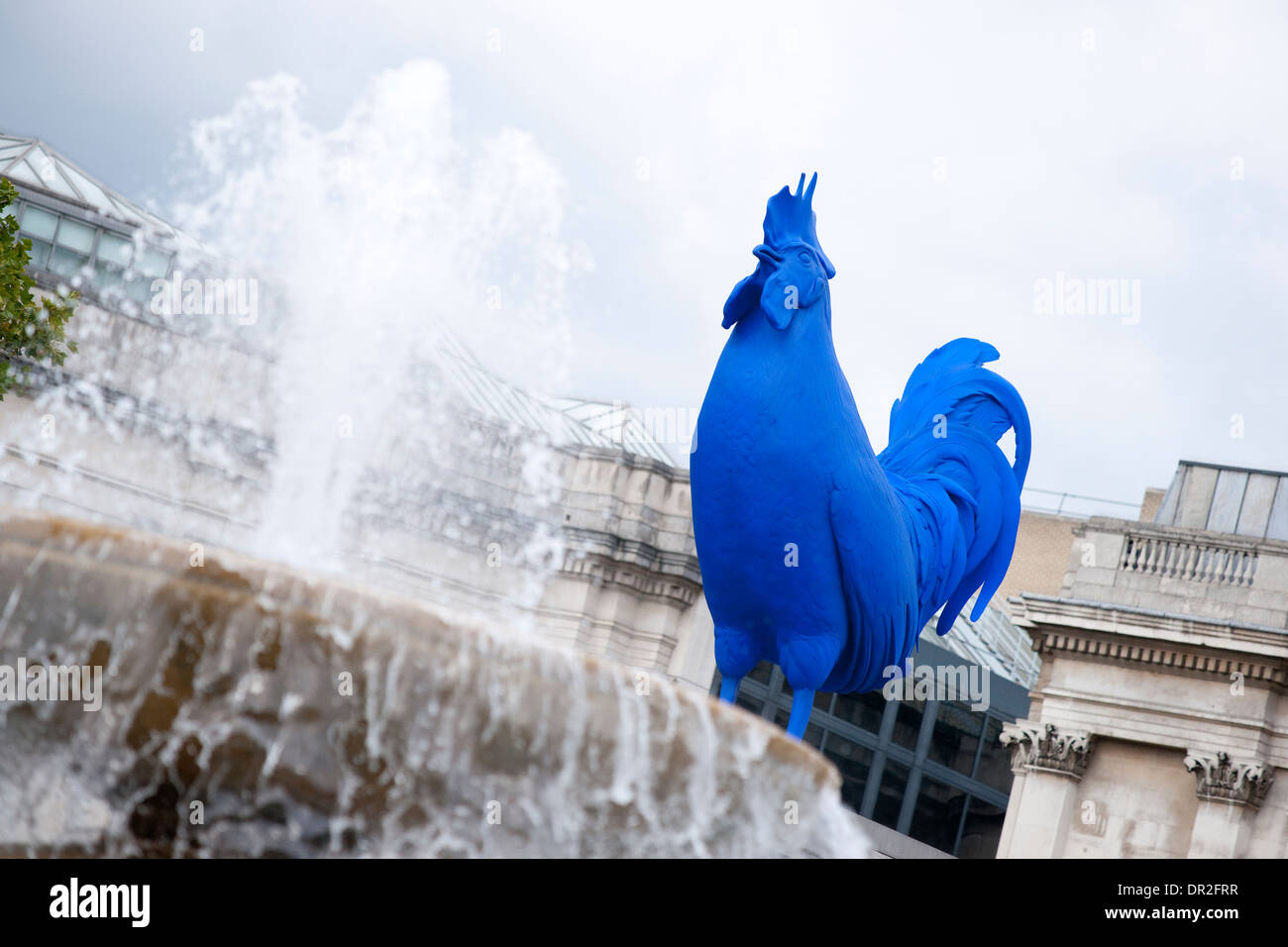 Katharina Fritsch Fourth Plinth Art Work, Trafalgar Sq, London Stock ...