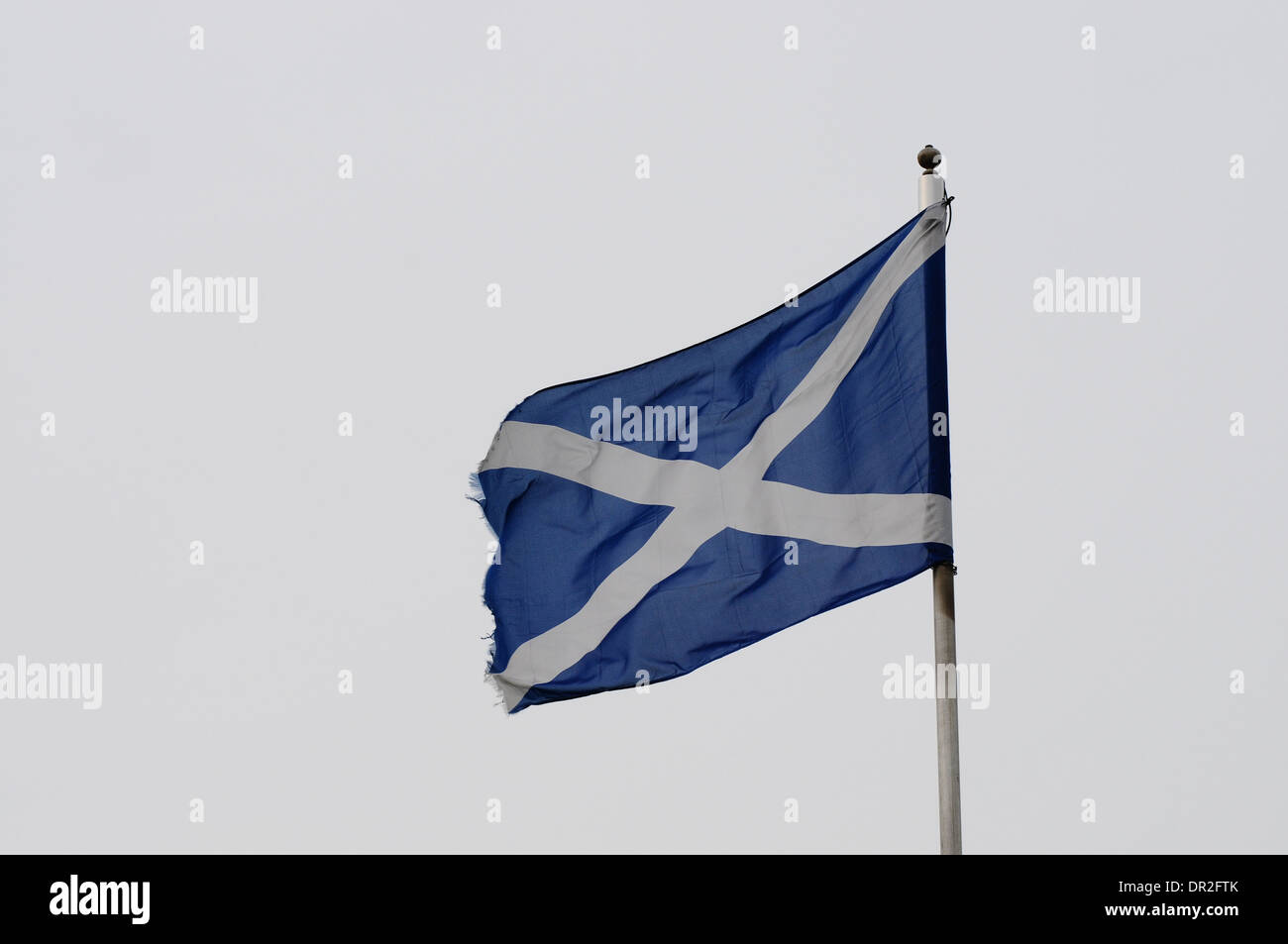 Scottish, Scotland, Flag, flag of, national Stock Photo - Alamy