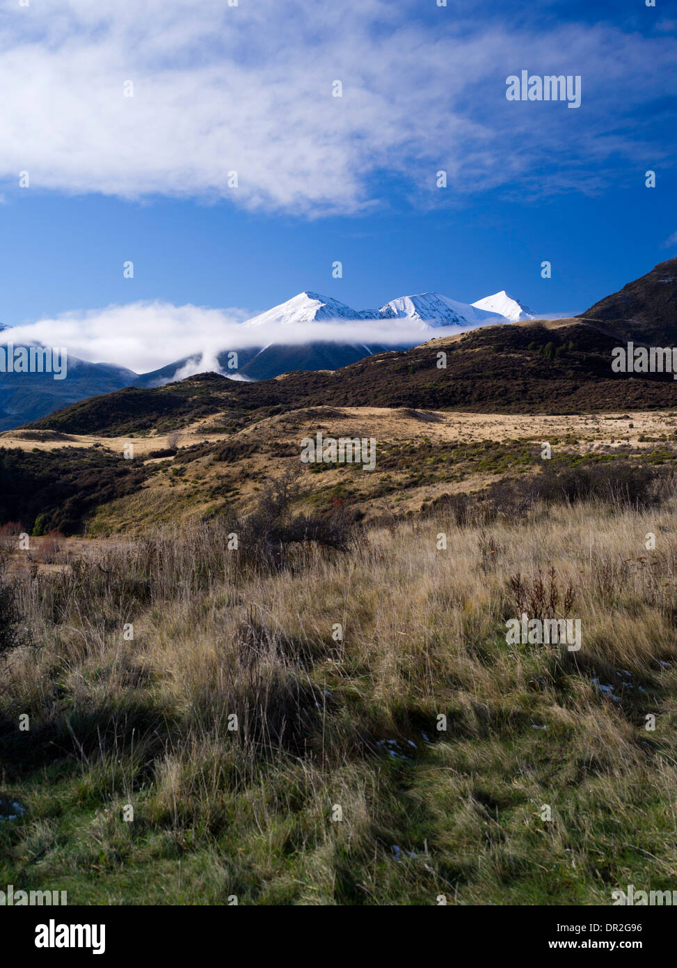 The Puketeraki Range rises above a brown grass paddock; New Zealand ...