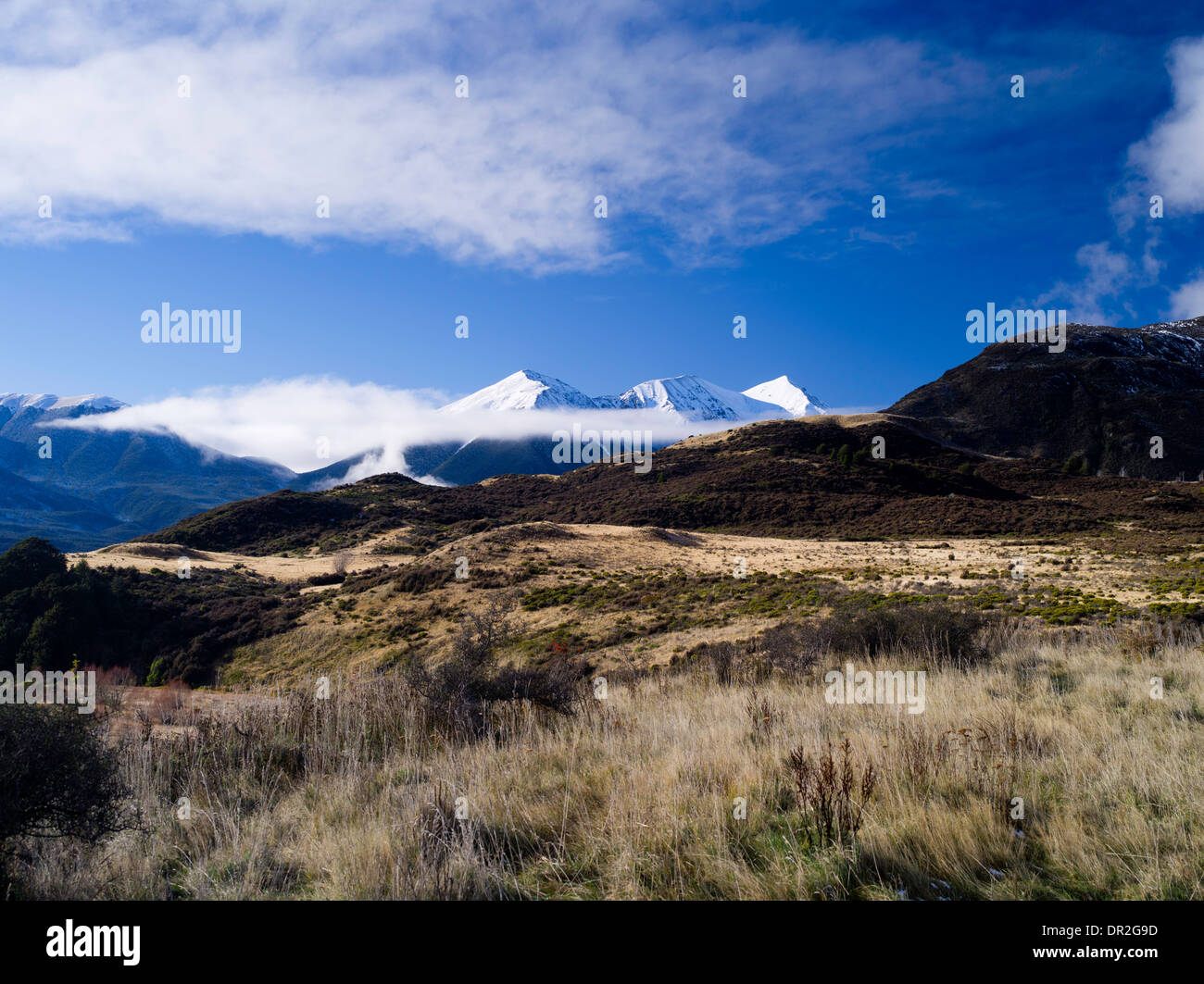 The Puketeraki Range rises above a brown grass paddock; New Zealand ...