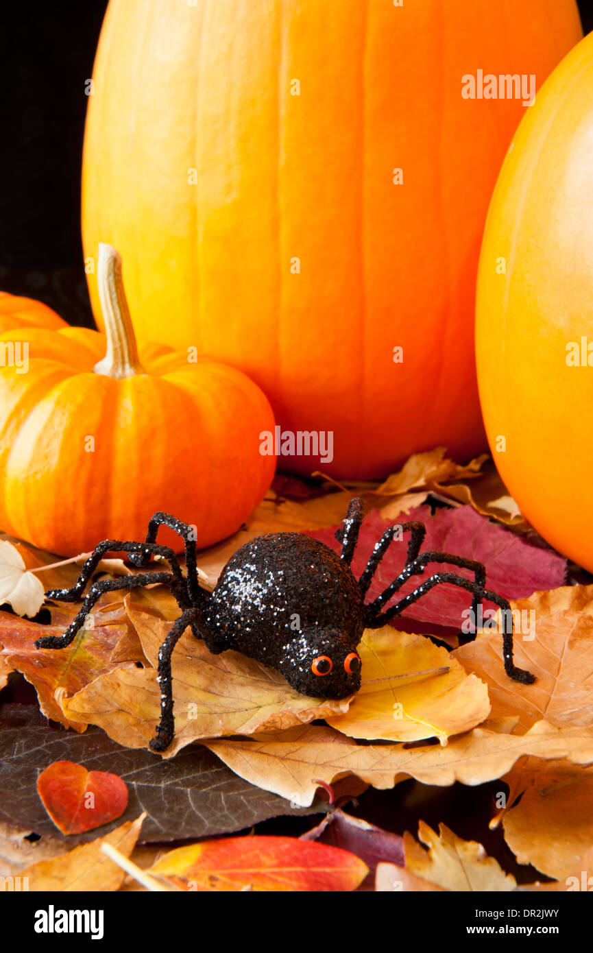 October spider hi-res stock photography and images - Alamy