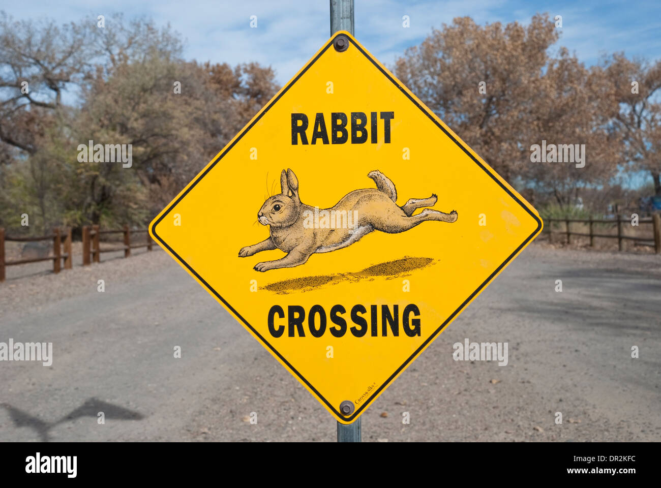 Rabbit crossing hi-res stock photography and images - Alamy