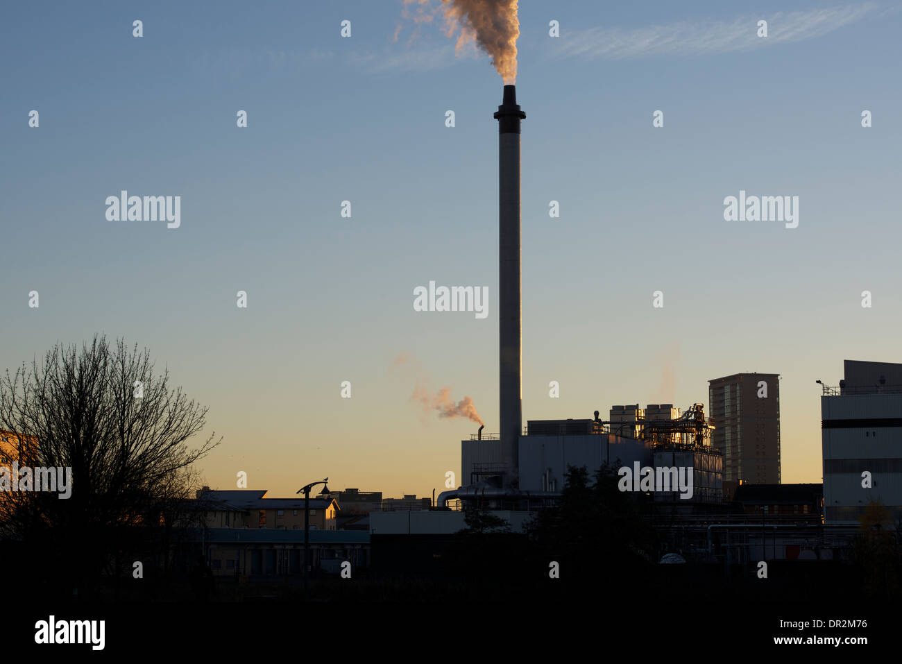 The Strathclyde Distillery, Gorbals, Glasgow Stock Photo - Alamy
