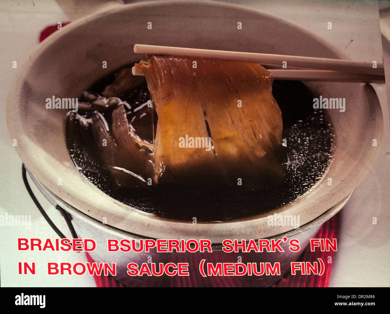 Shark fin restaurant in Chinatown, Bangkok Stock Photo - Alamy