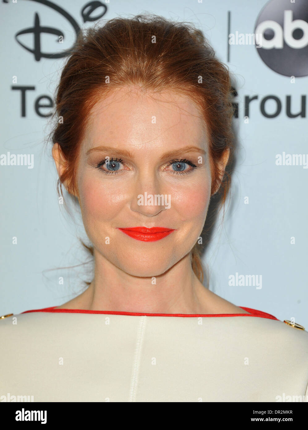 Los Angeles, California, USA. 17th Jan, 2014. Darby Stanchfield ...