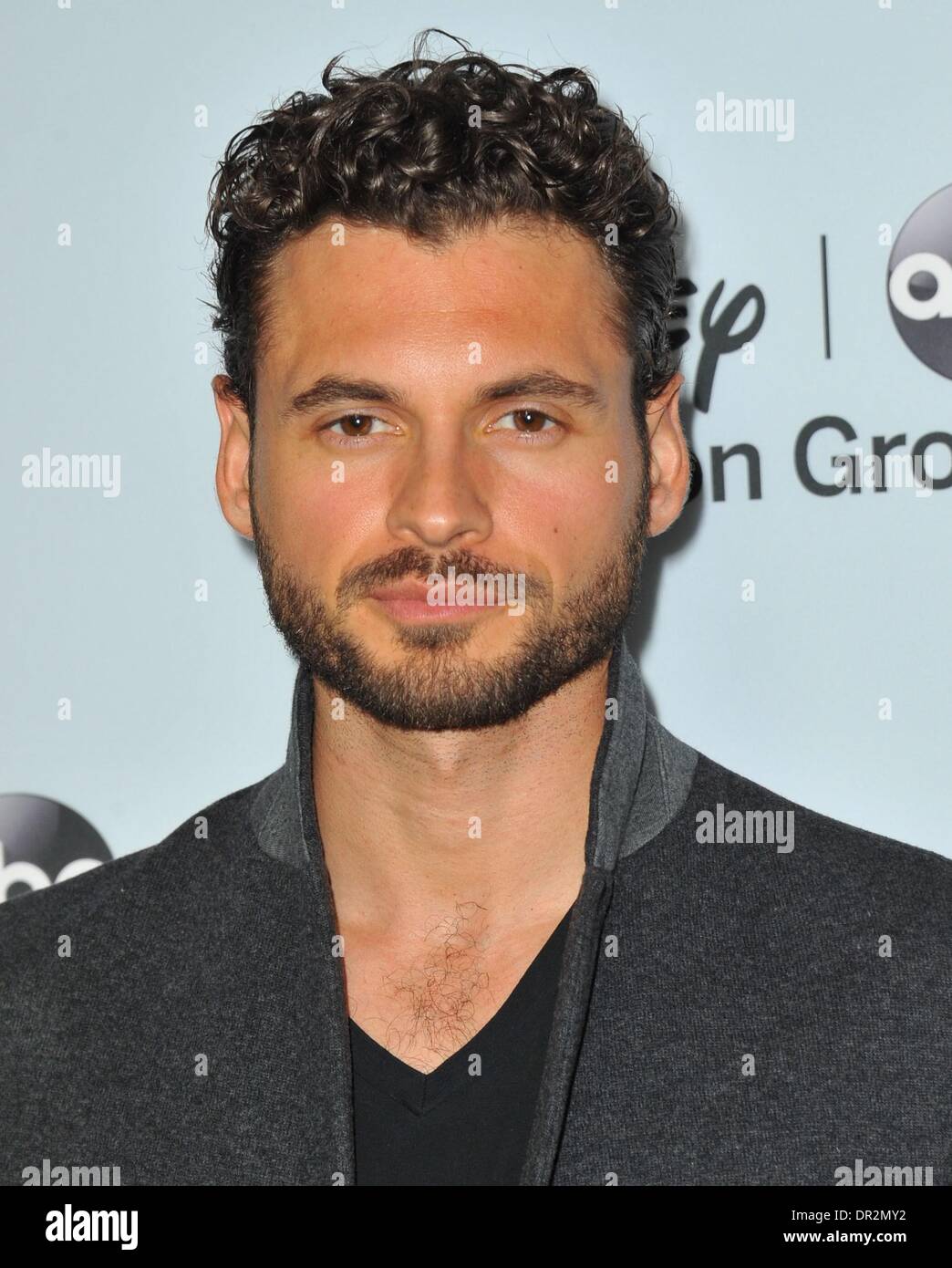 Pasadena, CA, . 17th Jan, 2014. Adin Cato in attendance for Disney ABC ...