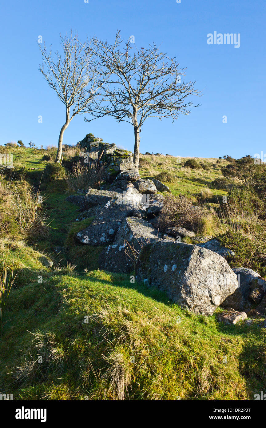 Devon dry stone walls hi-res stock photography and images - Alamy