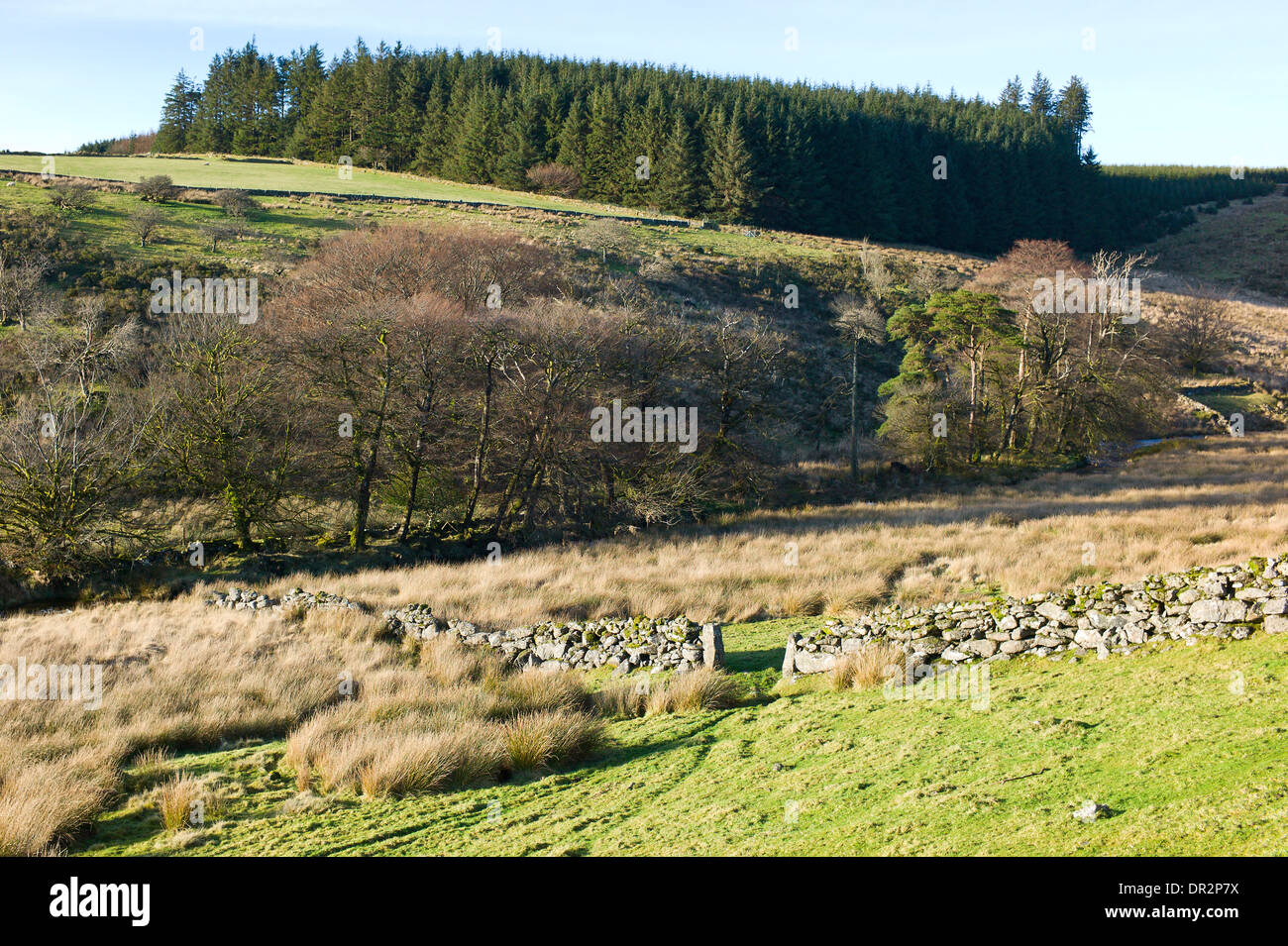 West Dart river valley and Beardown Hill near Two Bridges, Dartmoor ...