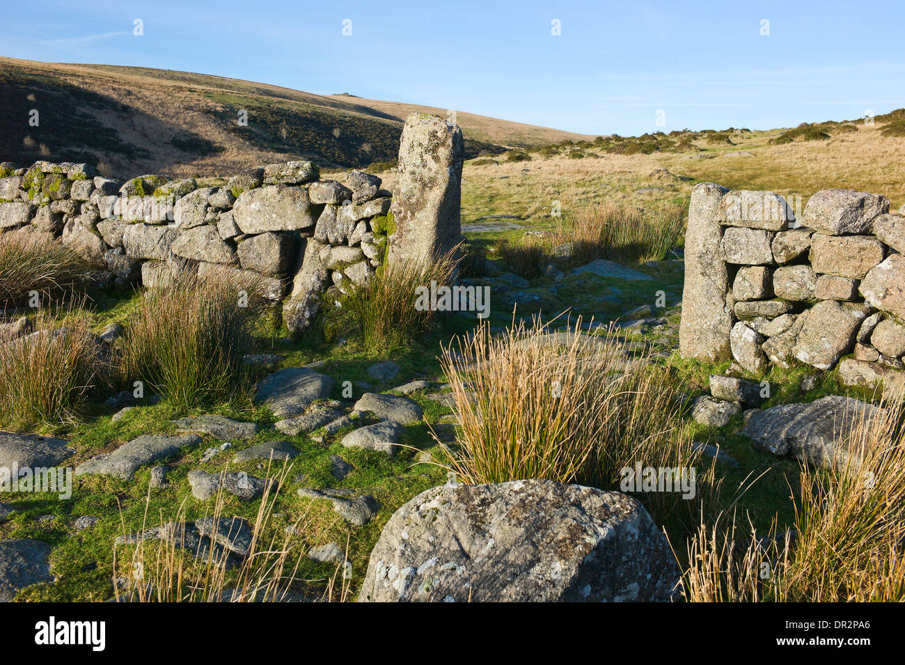Devon dry stone walls hi-res stock photography and images - Alamy