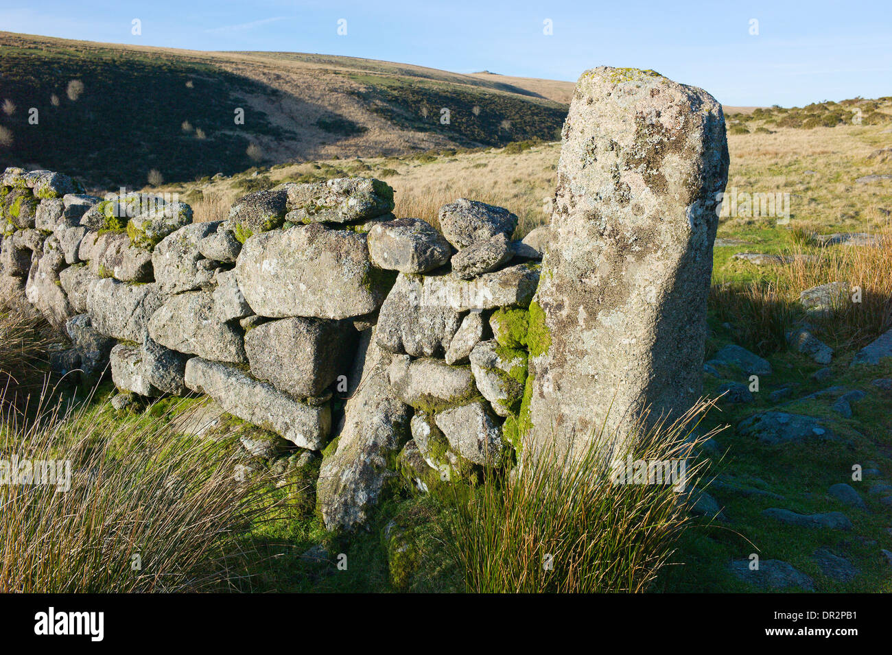 Devon dry stone walls hi-res stock photography and images - Alamy