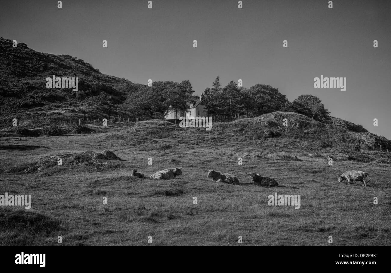 Highland croft hi-res stock photography and images - Alamy