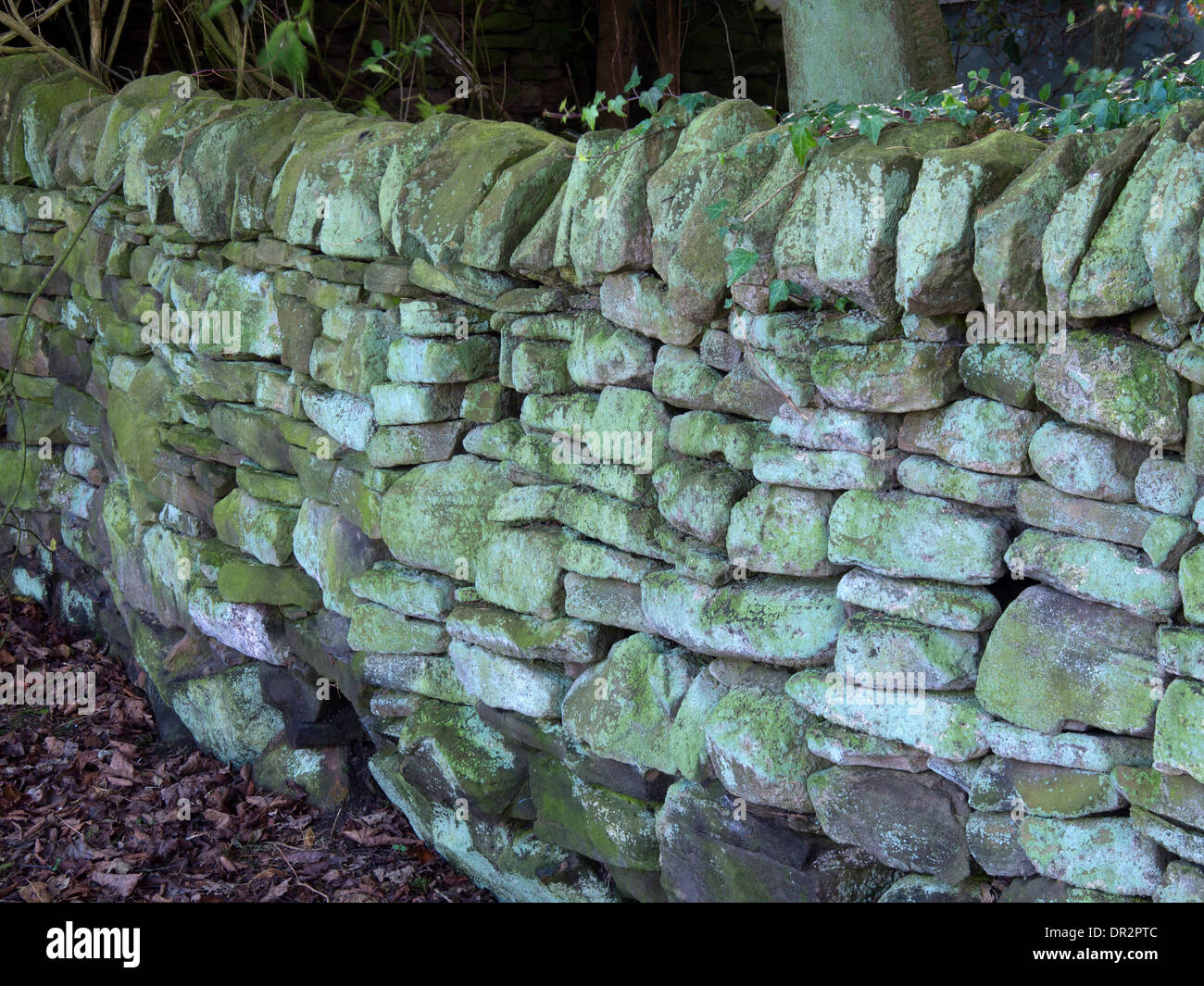 dry stone wall derbyshire uk rural countryside Stock Photo - Alamy