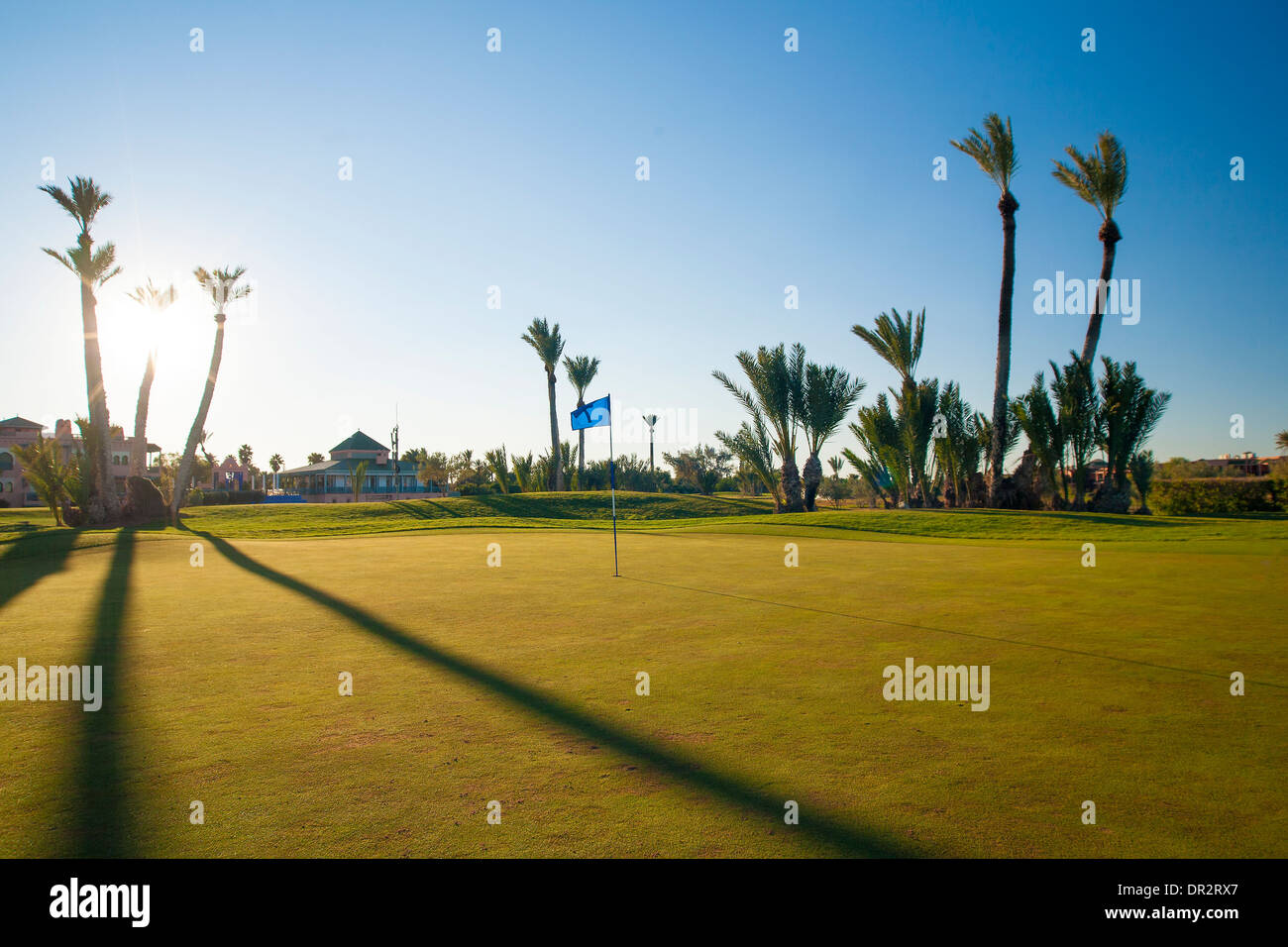Palm trees with shadows hi-res stock photography and images - Alamy