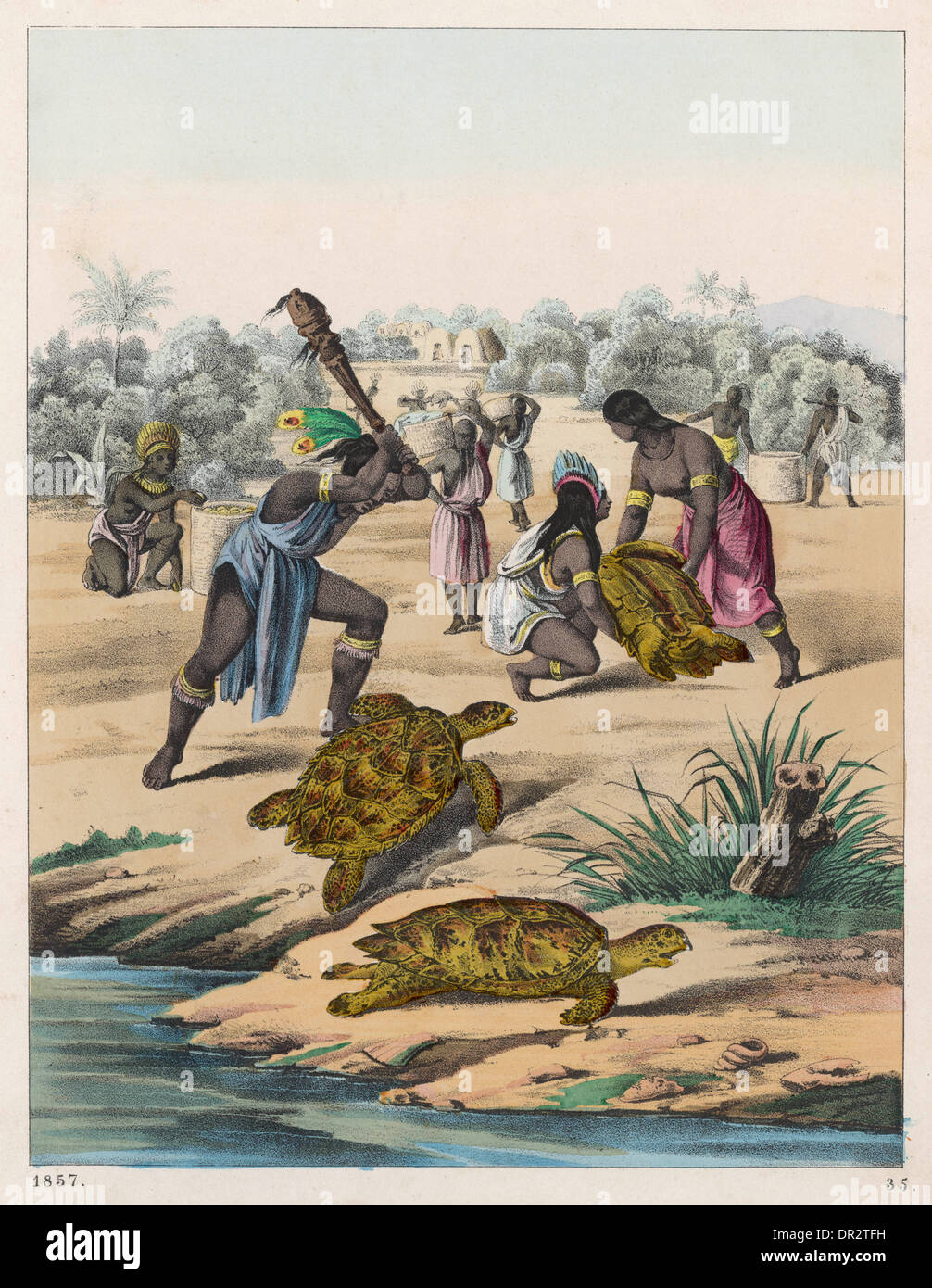 Hunting reptiles hi-res stock photography and images - Alamy