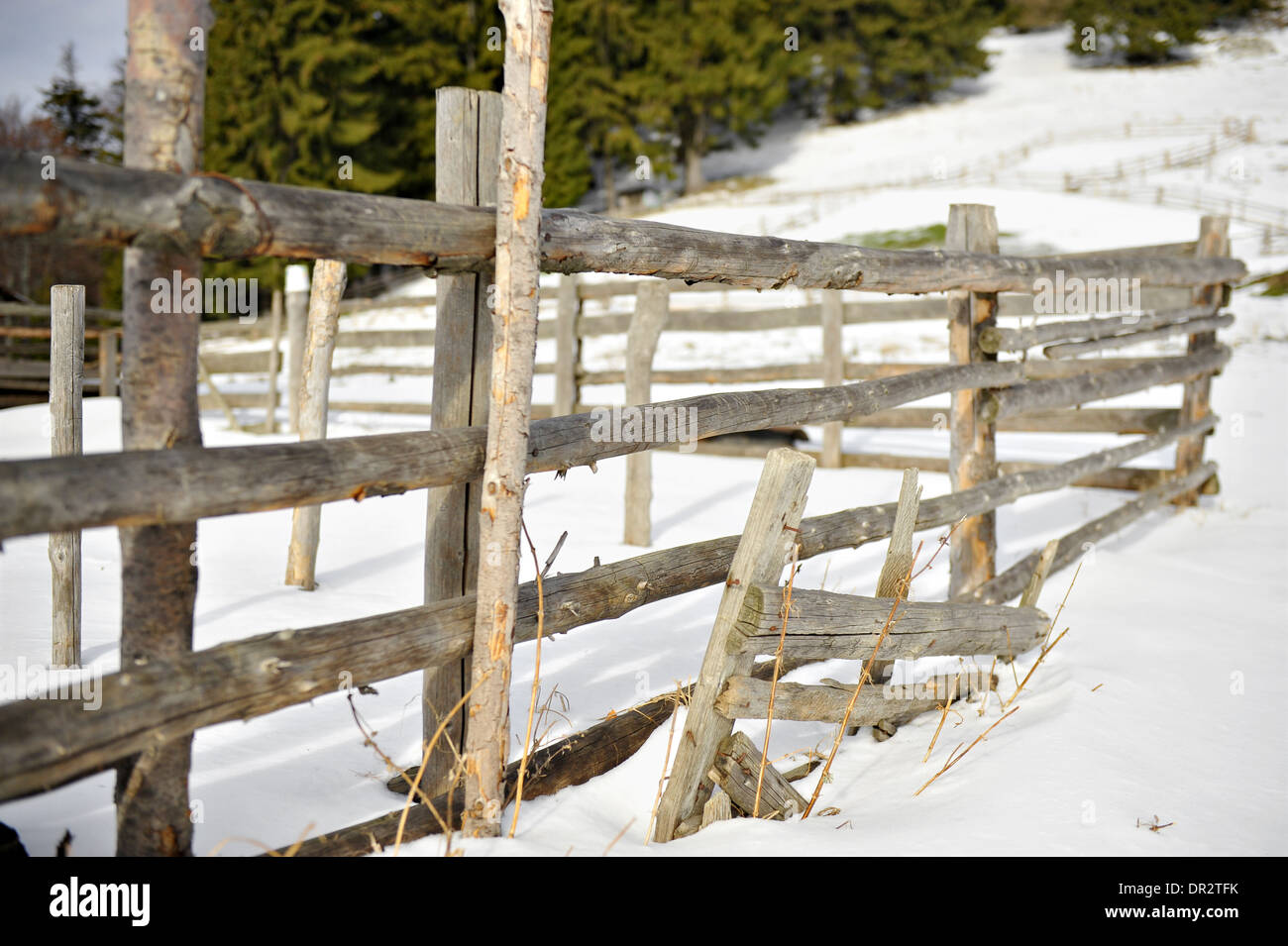 Sheepfold hi-res stock photography and images - Alamy