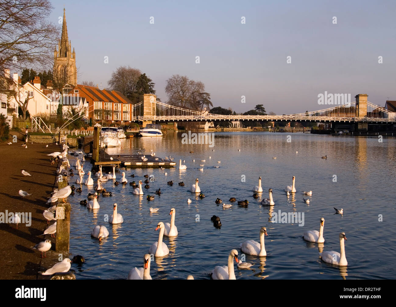 Bucks - Marlow on Thames - suspension bridge - church tower - towpath ...