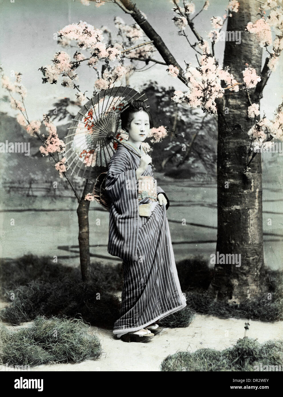 Japanese traditional lady hi-res stock photography and images - Alamy