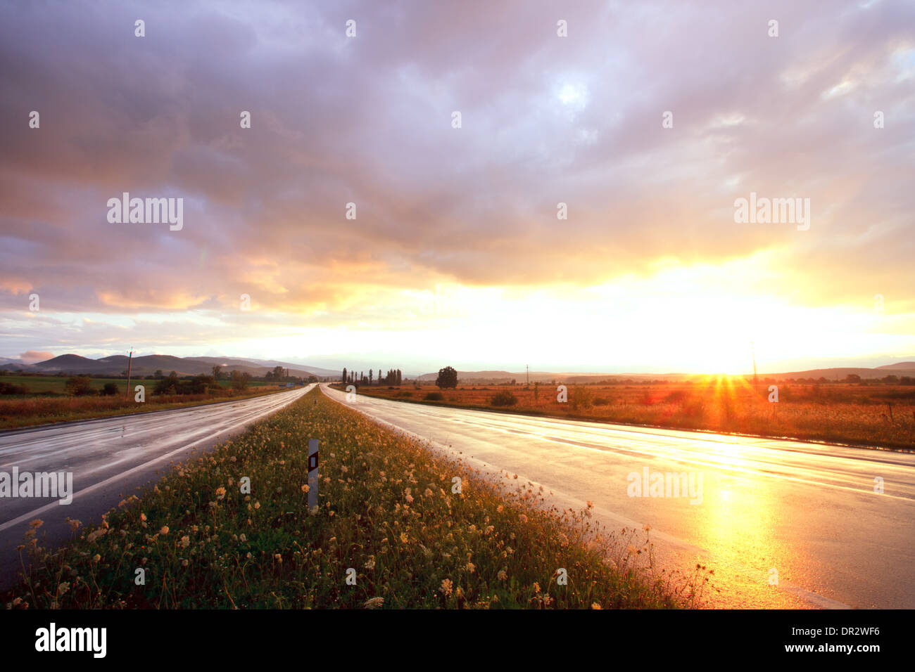 Wet road after rain and sunset over fields Stock Photo - Alamy