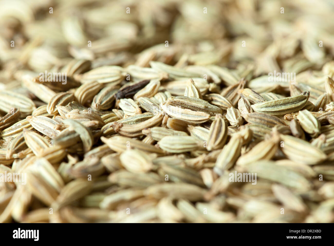 Fennel seeds texture hi-res stock photography and images - Alamy