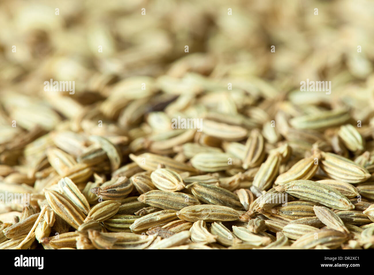 Fennel seeds texture hi-res stock photography and images - Alamy