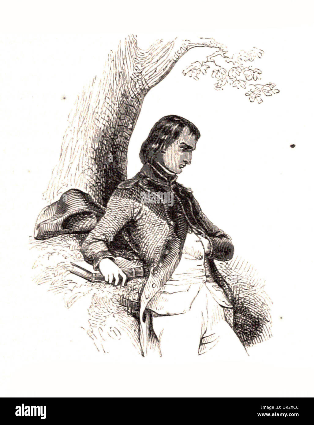 Napoleón Cut Out Stock Images & Pictures - Alamy