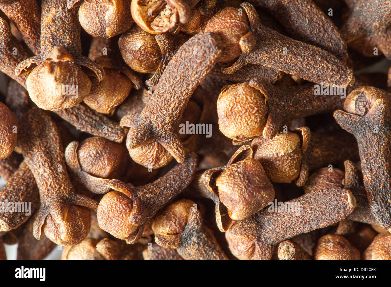 Dried spice herbs cloves hi-res stock photography and images - Alamy