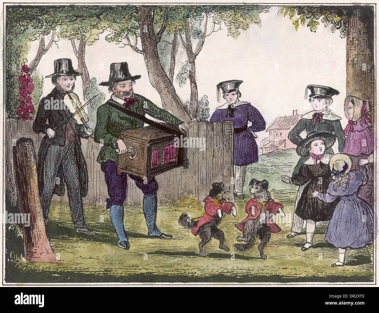 Dancing animals hi-res stock photography and images - Alamy