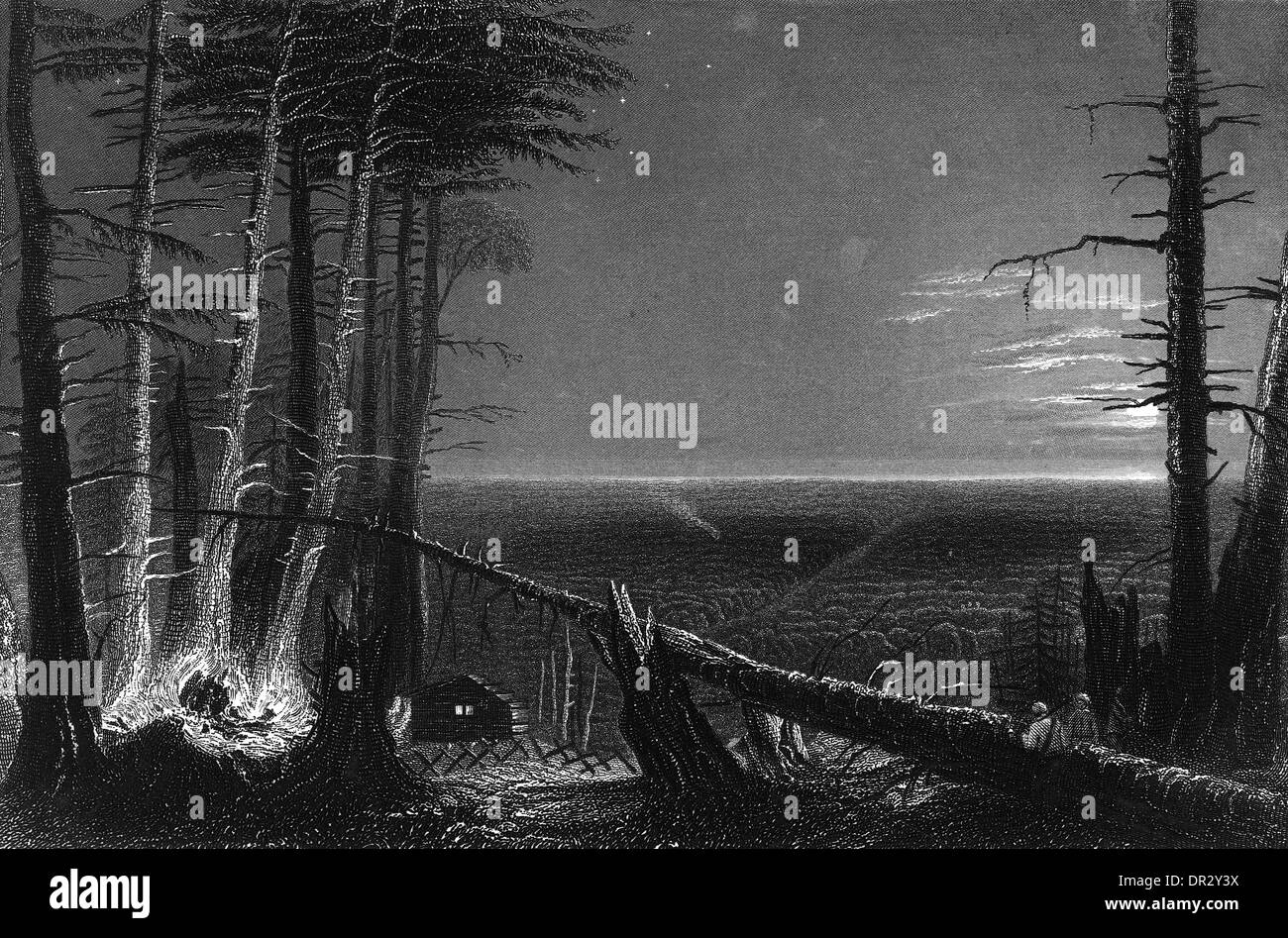 CANADA FOREST SCENE Stock Photo - Alamy