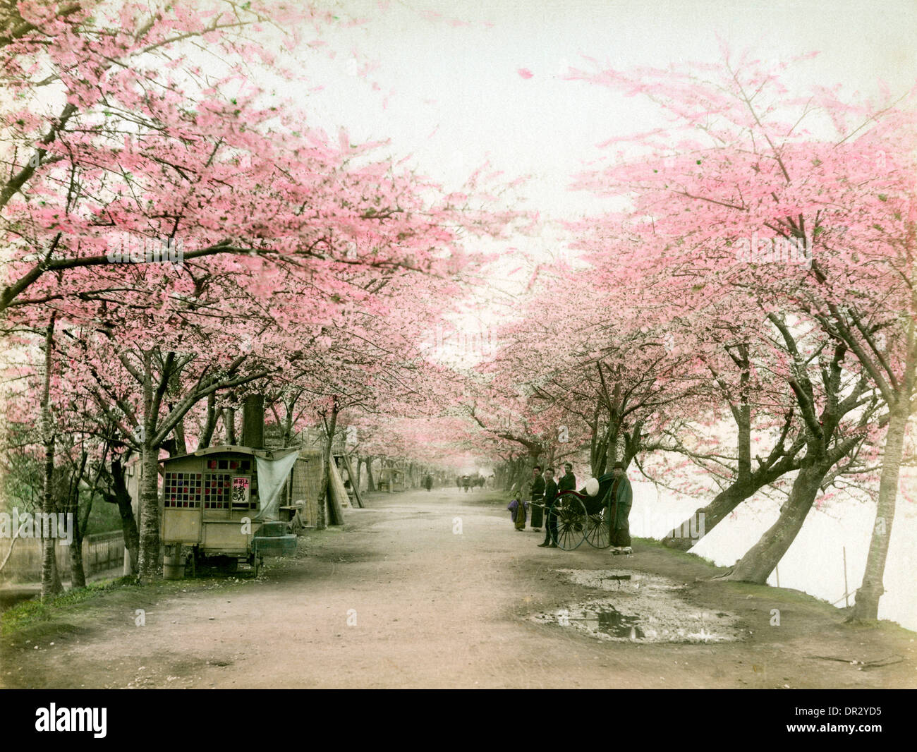 Mukojima hi-res stock photography and images - Alamy