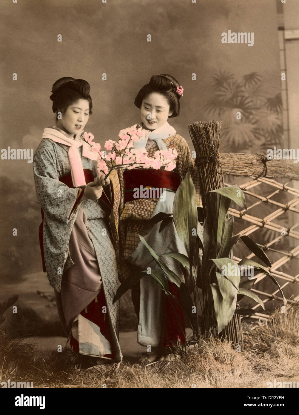 Japanese ladies with cherry blossom Stock Photo - Alamy