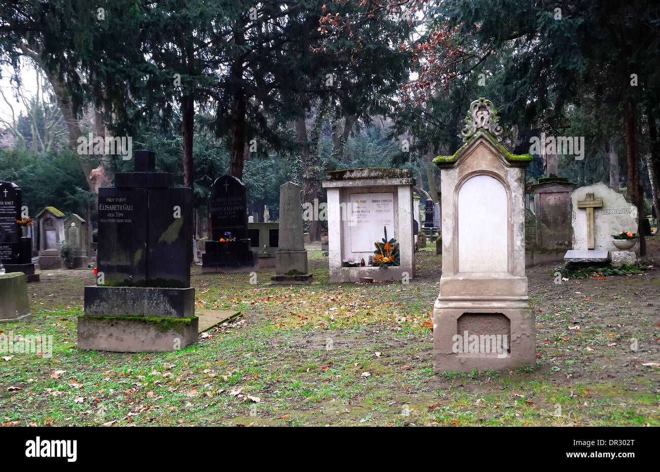 Bratislava, Slovakia. The old Evangelical Cemetery at Kozia brána ...