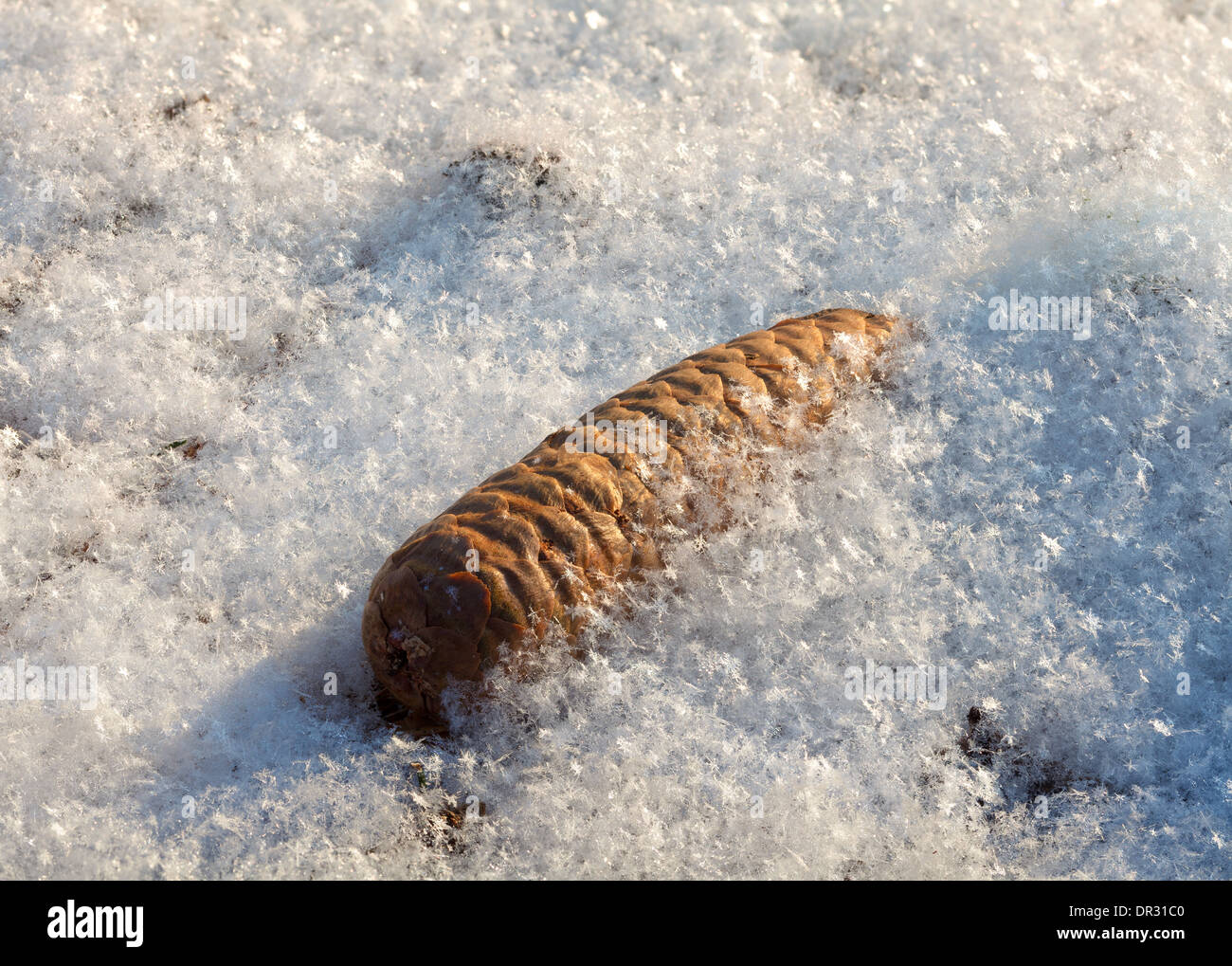 Snowflakes glittery hi-res stock photography and images - Alamy