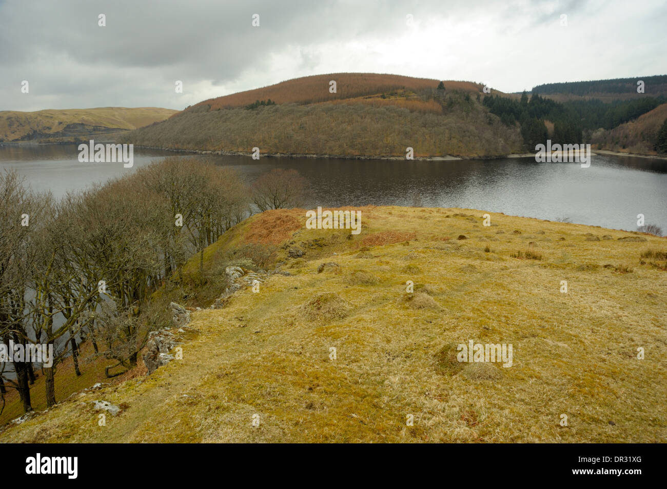 Llyn Brianne Reservoir Stock Photo - Alamy