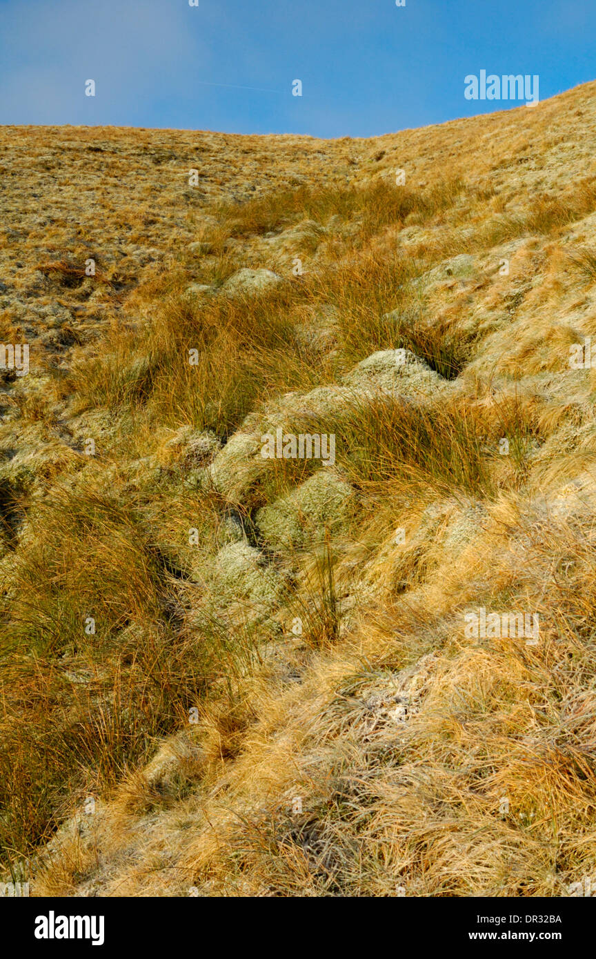 Source Of The Wye High Resolution Stock Photography and Images - Alamy